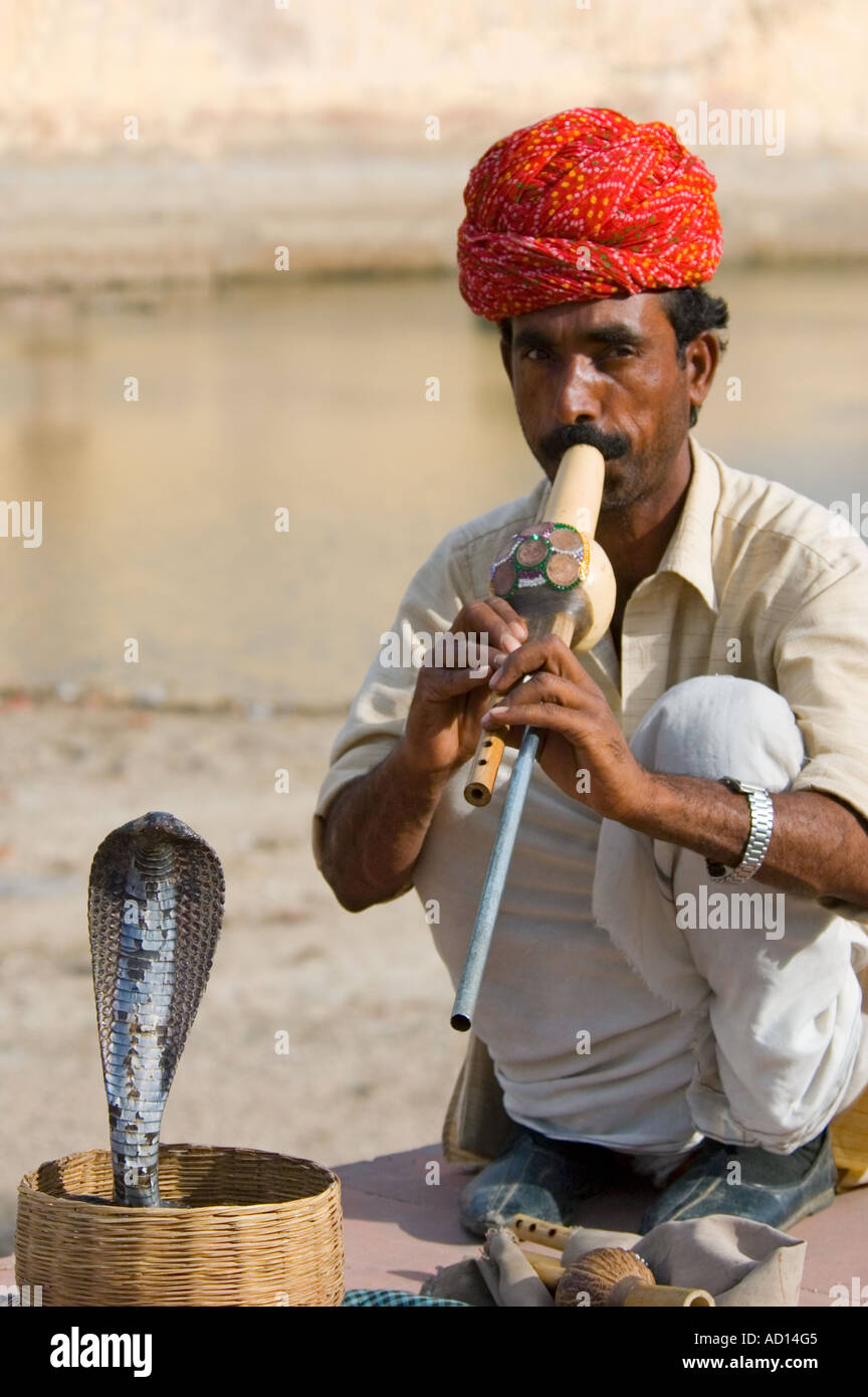 Vertical close up of a snake charmer performing with his hooded Indian ...