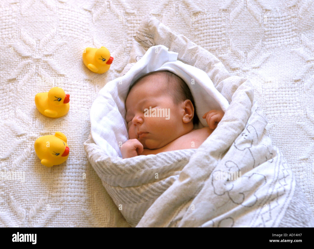 Infant boy sleeping surrounded by rubber ducks Stock Photo - Alamy