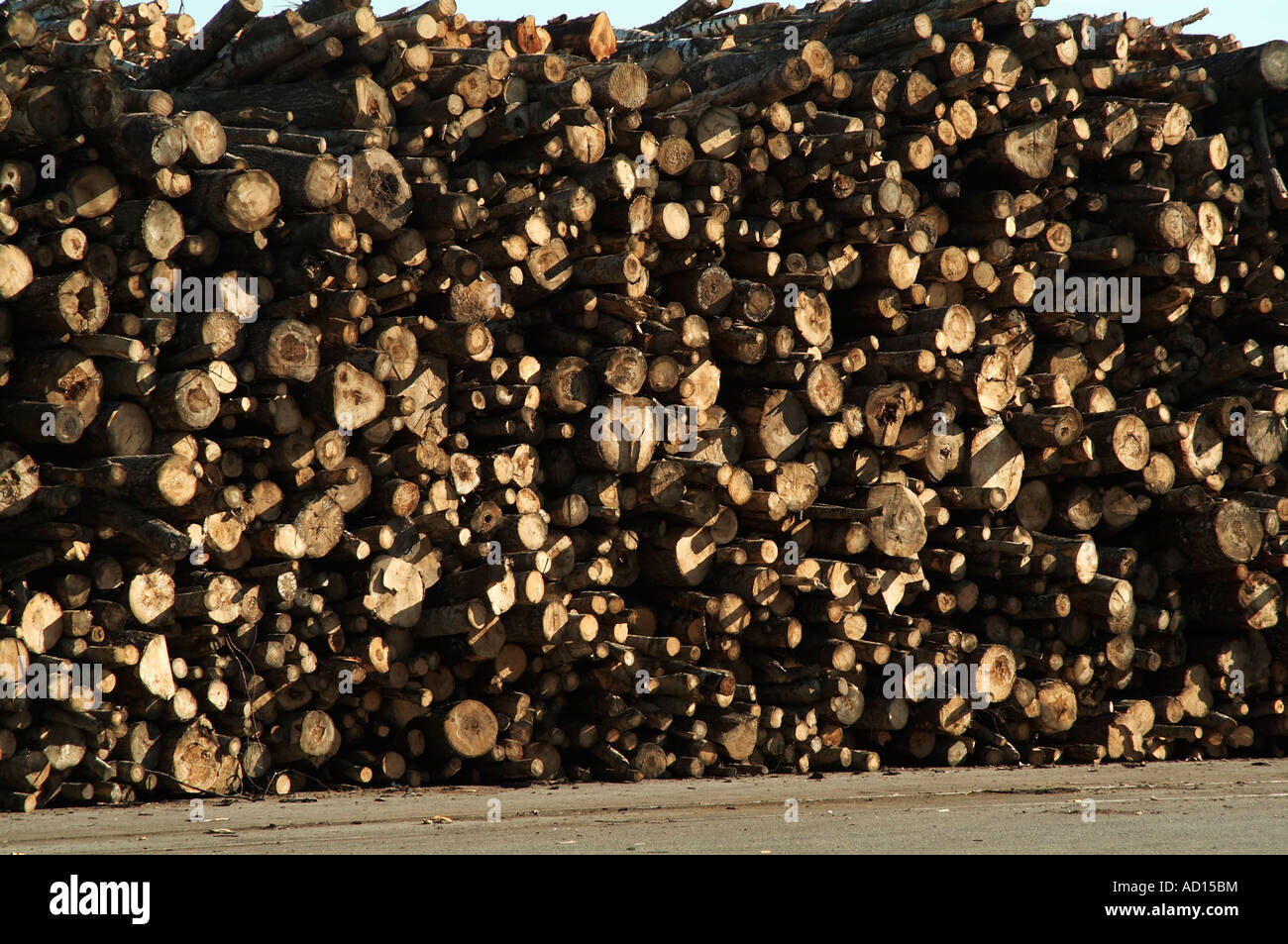 Fire, wood, firewood, logs, timber, cut, cutting, chop, chopping ...