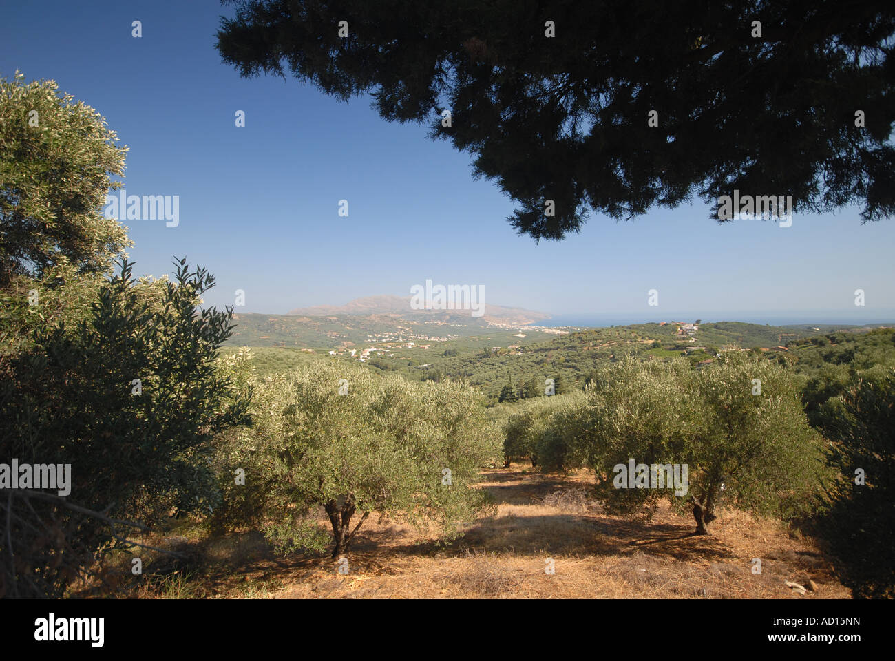 CRETE Countryside near Ano Vouves looking towards the Rodhopou ...