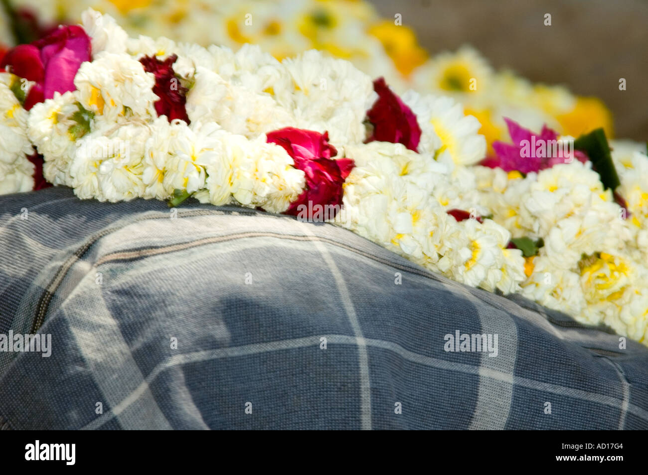 Indian religious flower hi-res stock photography and images - Alamy