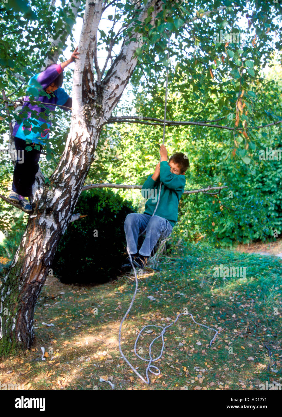 Boy swings on tree Stock Photo - Alamy