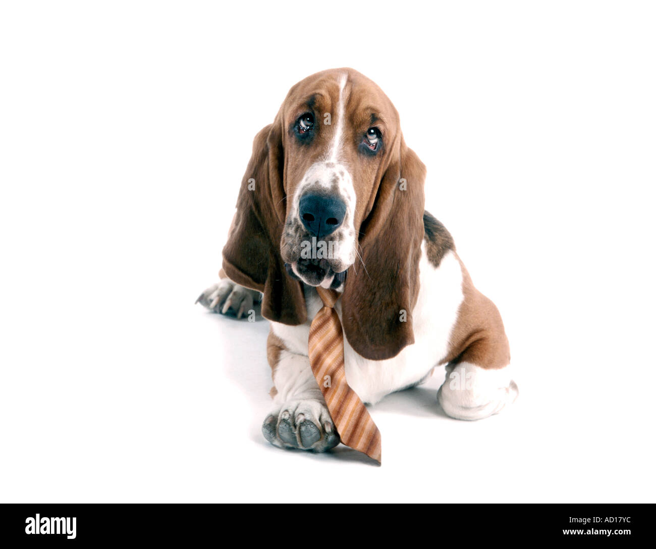 Sad humor Cut Out Stock Images & Pictures - Alamy