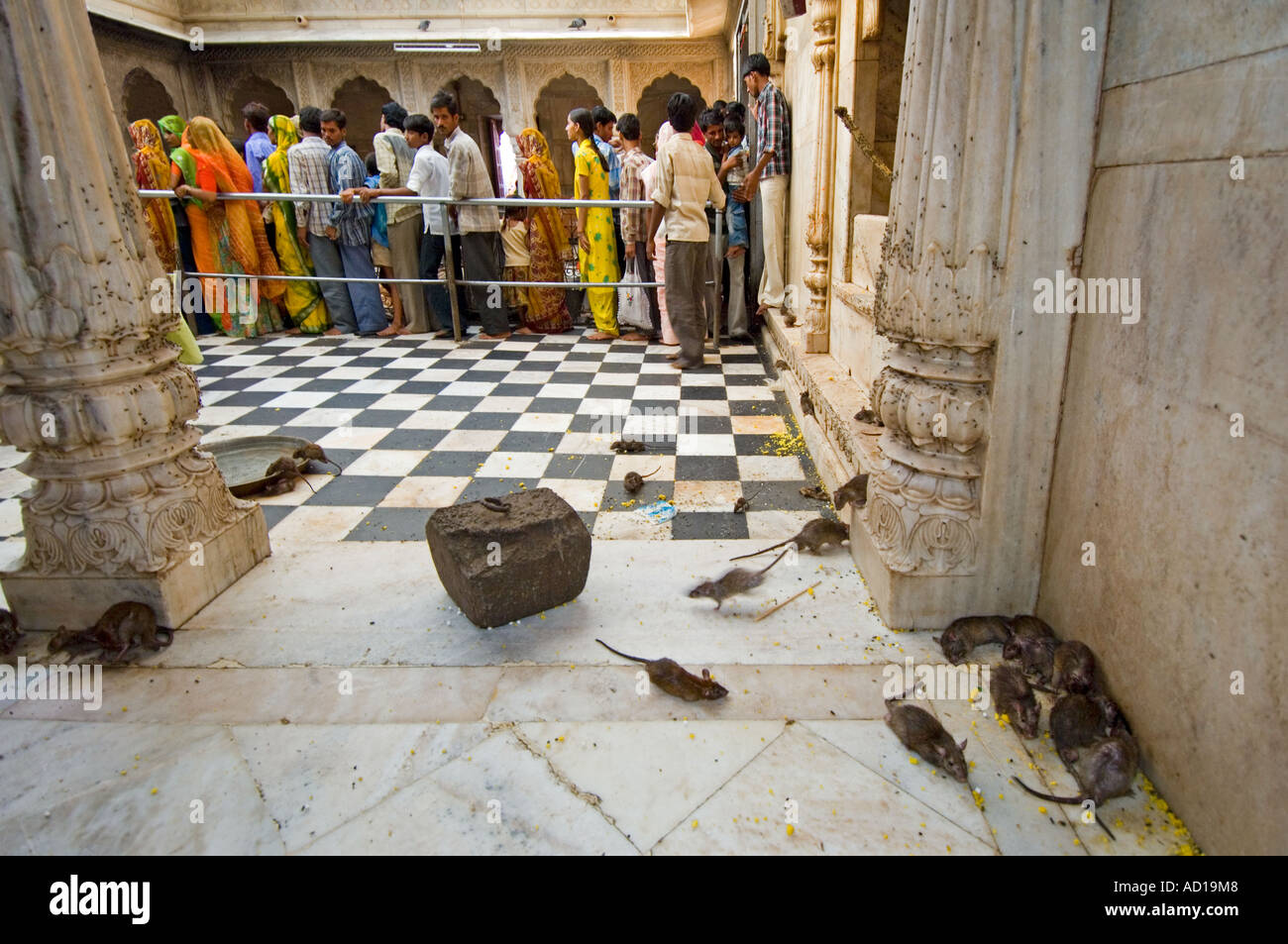Wide angle view of the inside of the Karni Mata Temple (Rat Temple ...
