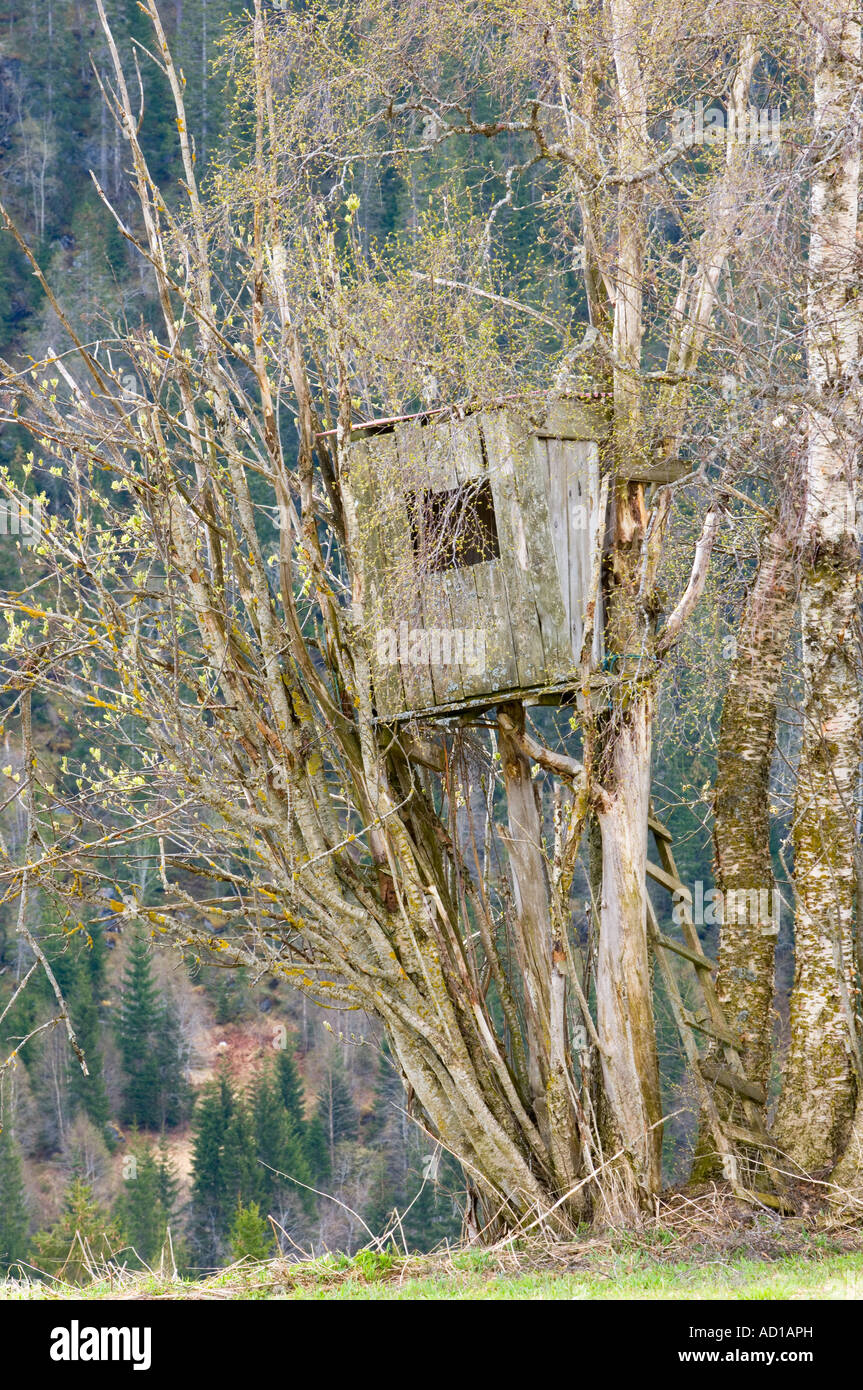 Abandoned tree house Norway Stock Photo - Alamy