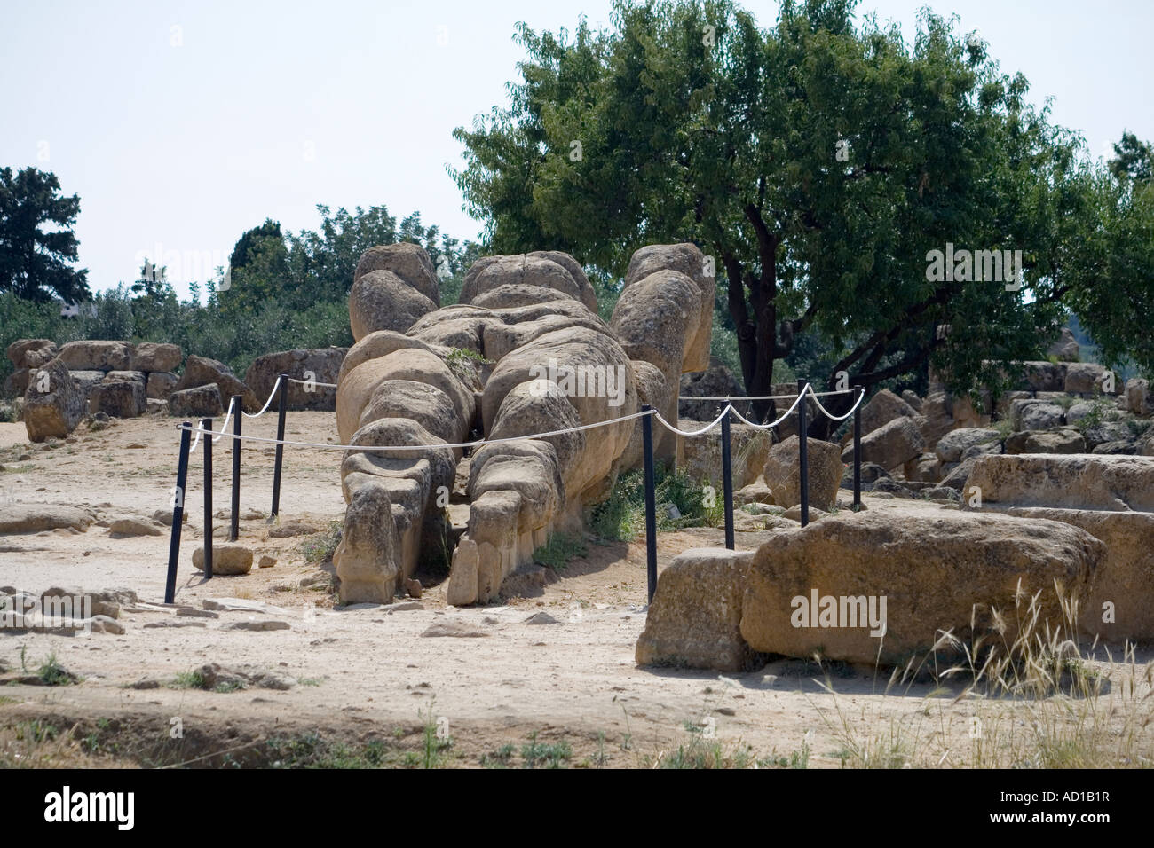 Telamon Temple of Olympian Zeus Valley of the Temples Agrigento Sicily ...