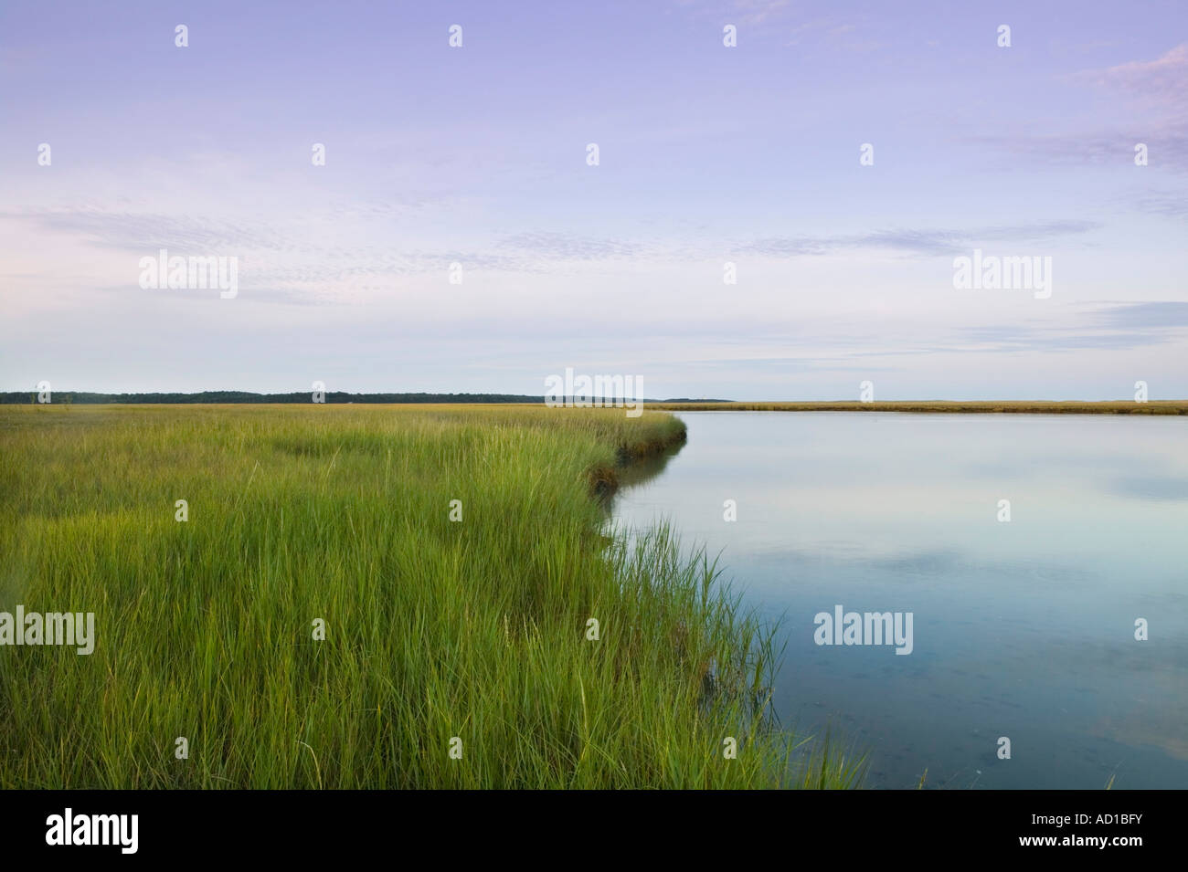 Salt Pond Bay, Eastham, Cape Cod, Massachusetts, USA Stock Photo - Alamy