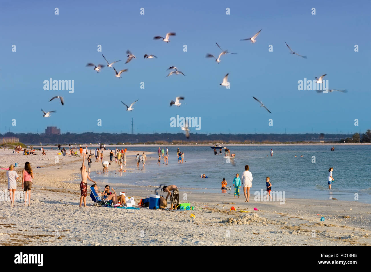 Dunedin beach florida hi-res stock photography and images - Alamy