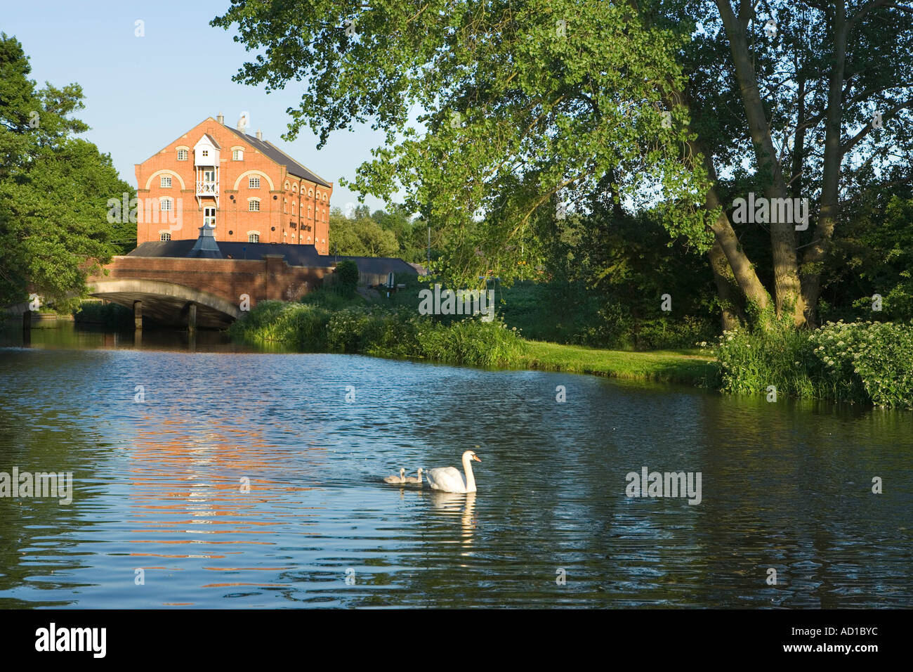 Stoke rivers hi-res stock photography and images - Alamy