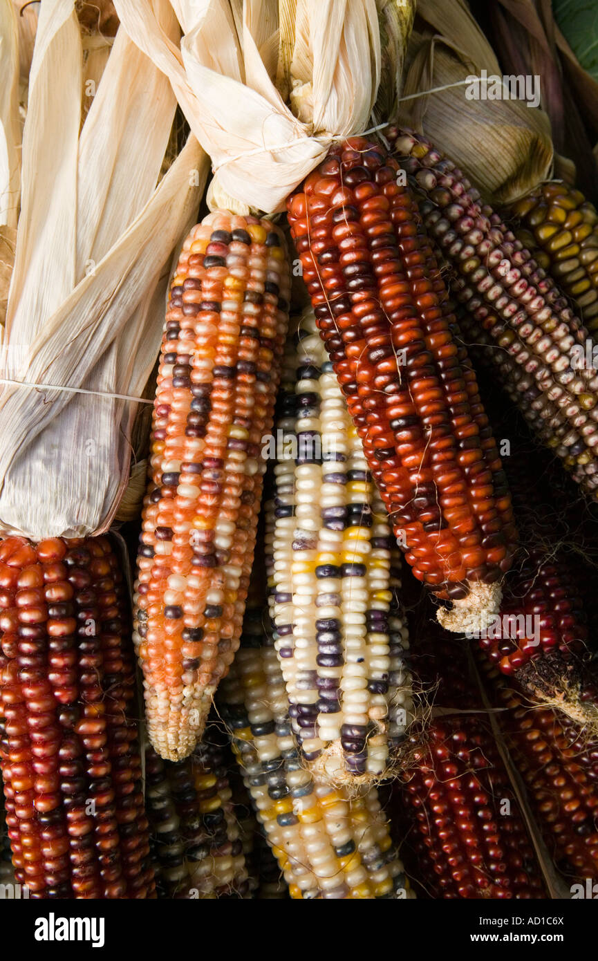 Walter findlay hi-res stock photography and images - Alamy