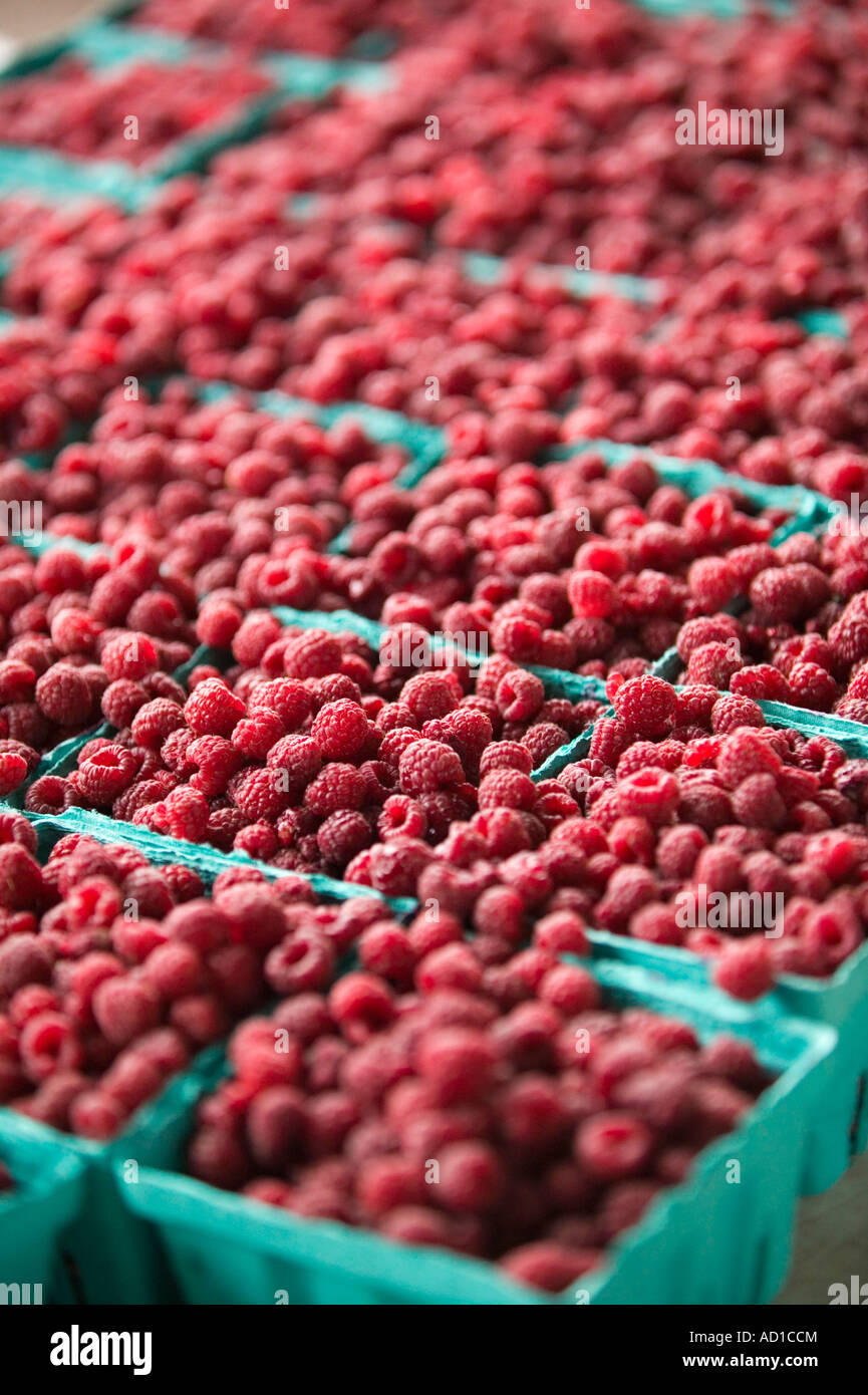 Raspberries, Ann Arbor Farmer's Market, Detroit, Michigan, USA Stock ...