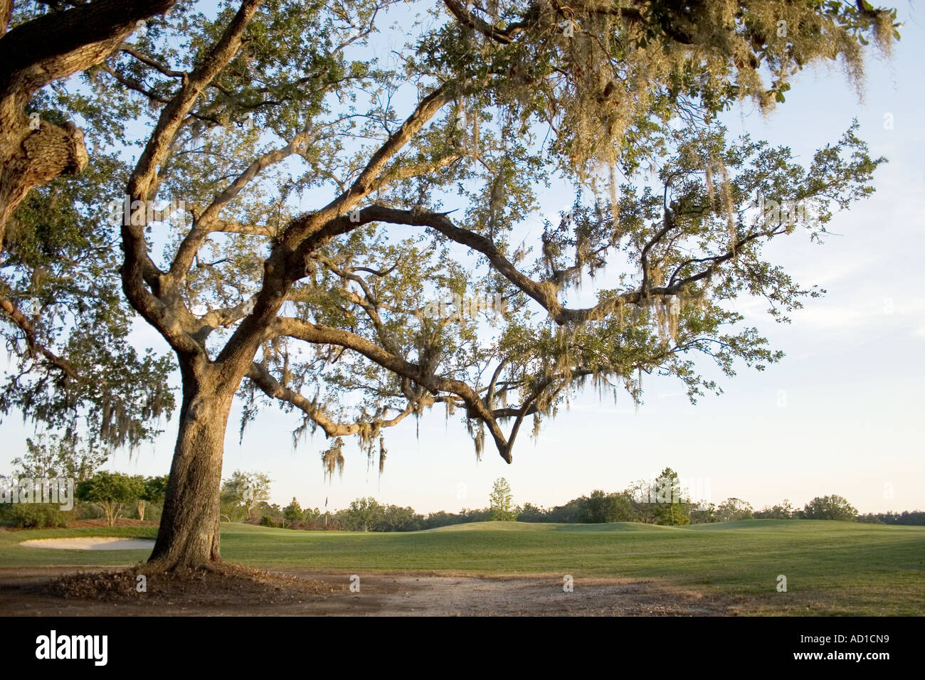 Hurricane katrina new orleans culture High Resolution Stock Photography ...