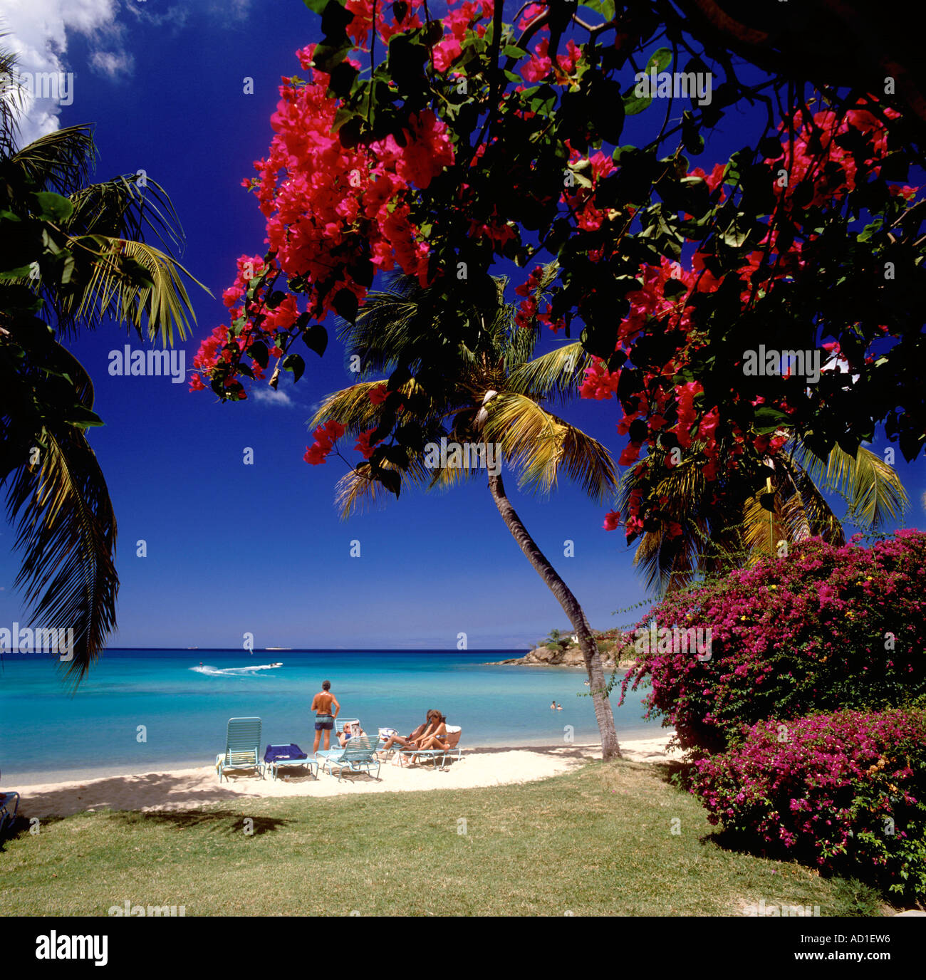 Hawksbill beach antigua hi-res stock photography and images - Alamy