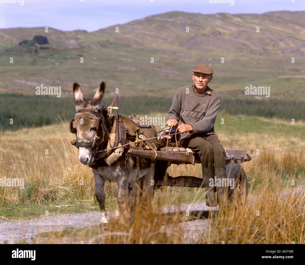 Donkey and cart ireland hi-res stock photography and images - Alamy