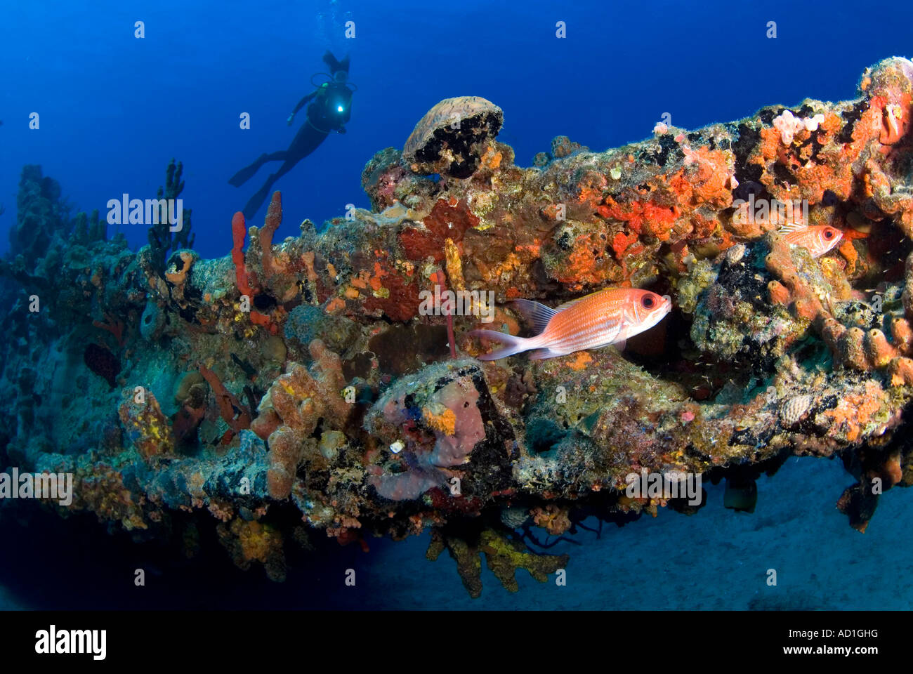 Female diver with oval mask hi-res stock photography and images - Alamy