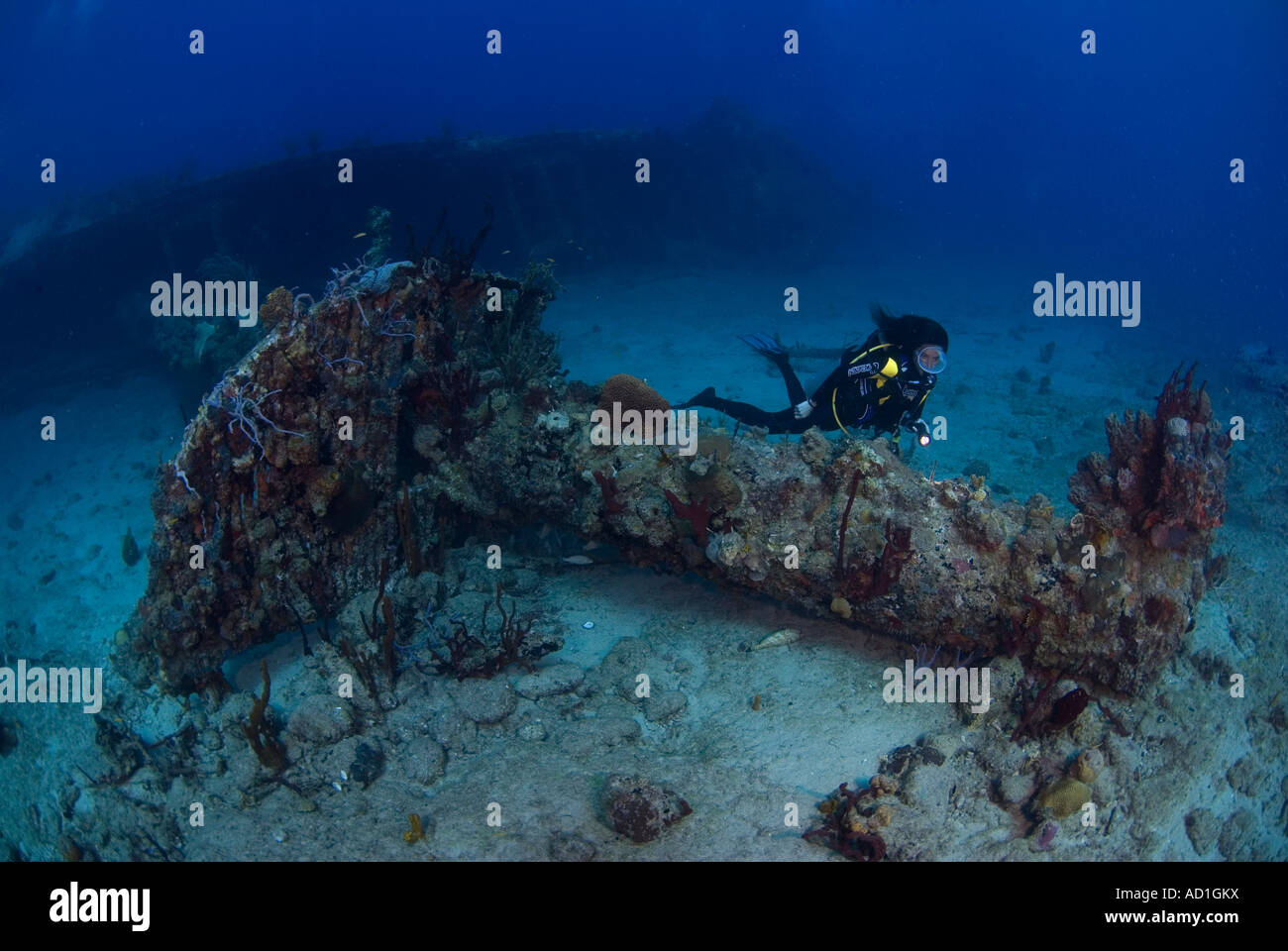 Rhone wreck Tortola British Virgin Islands BVI, underwater, scuba ...