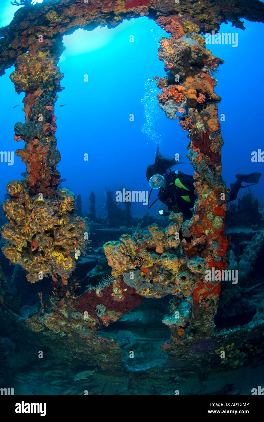 Rhone wreck Tortola British Virgin Islands BVI, underwater, scuba ...