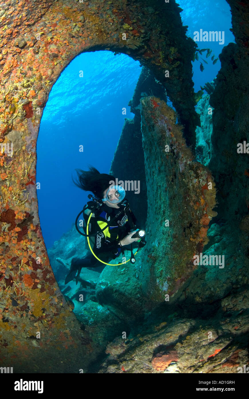 Rhone wreck Tortola British Virgin Islands BVI, underwater, scuba ...