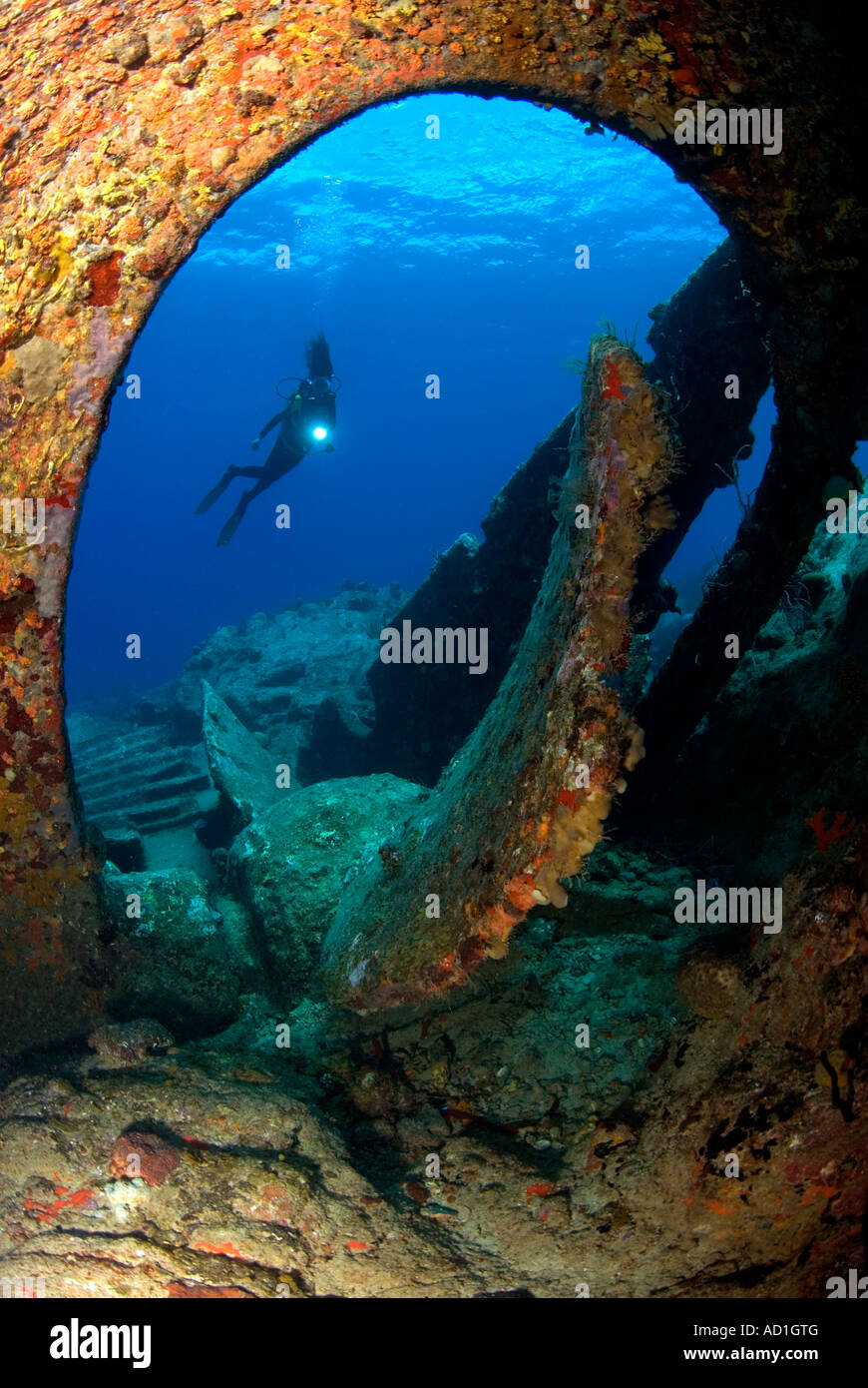 Rhone wreck Tortola British Virgin Islands BVI, underwater, scuba ...