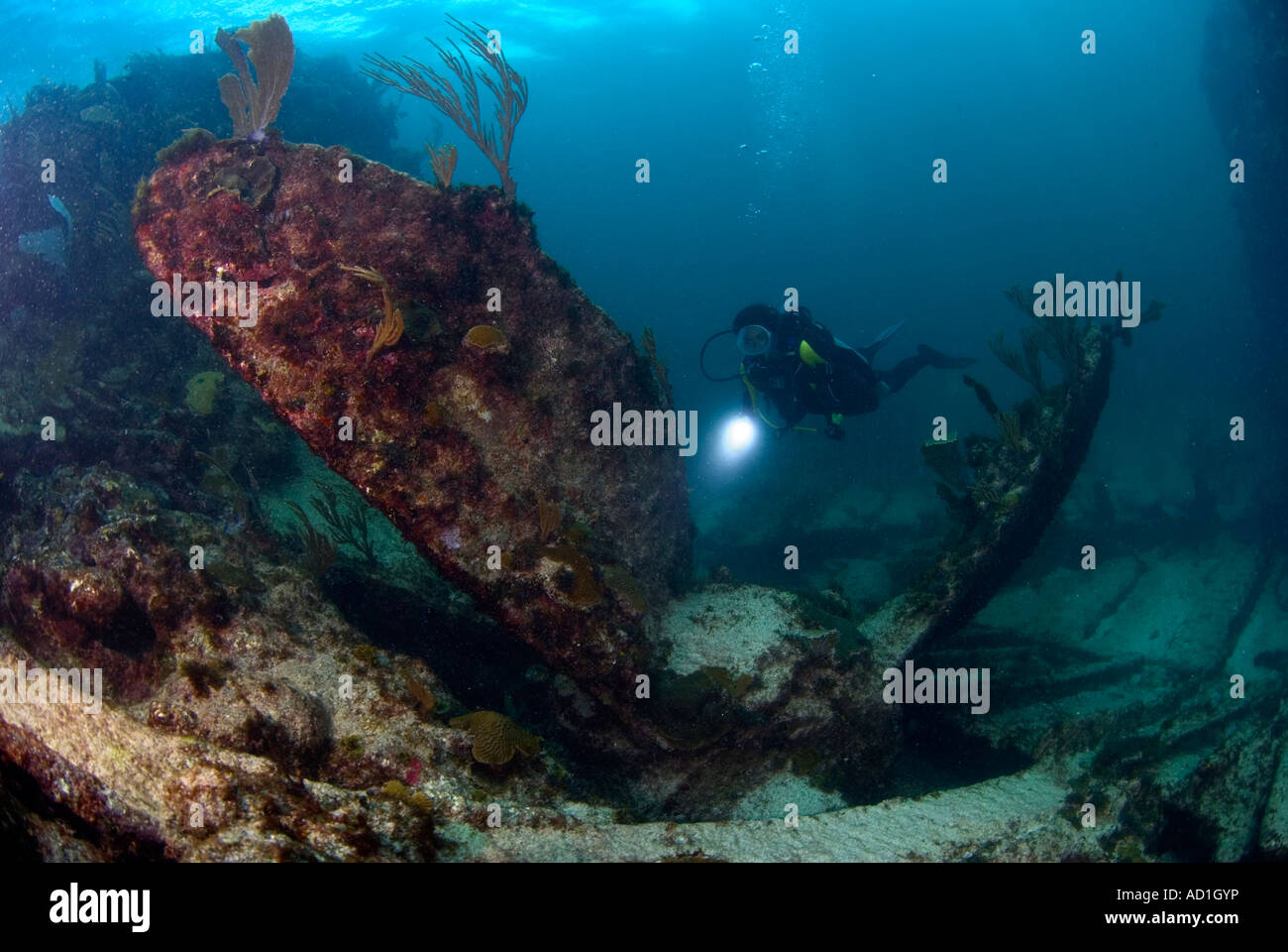 wreck in Anegada British Virgin Islands BVI, shipwreck, underwater ...