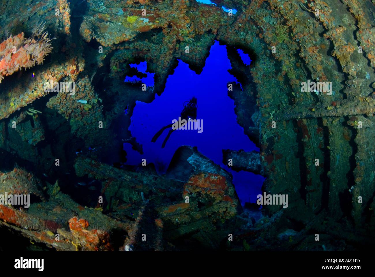 Rhone wreck Tortola British Virgin Islands BVI, underwater, scuba ...