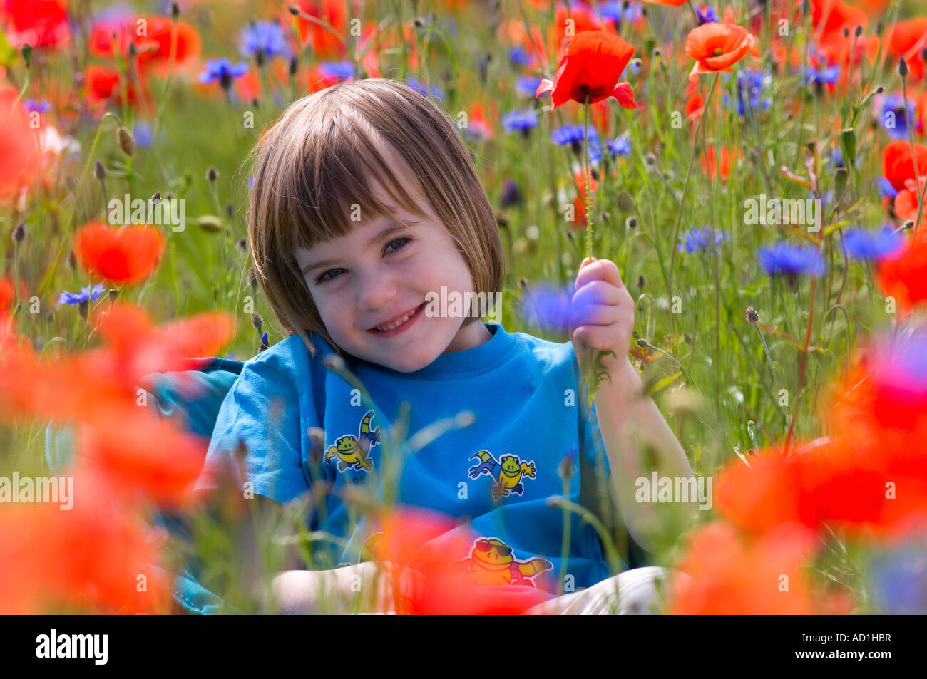 Young girl looking at a common poppy Stock Photo - Alamy