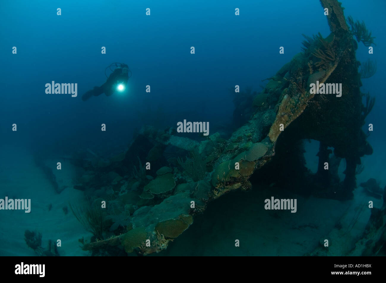diver in shipwreck in Bermuda, underwater, scuba, diving, ocean, sea ...