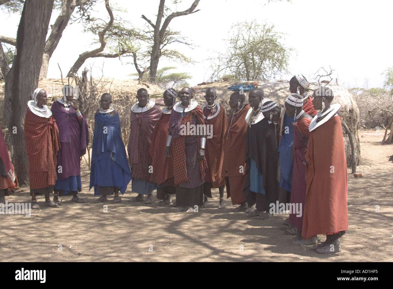 Africa Tanzania people native tribe village Masai women traditional ...