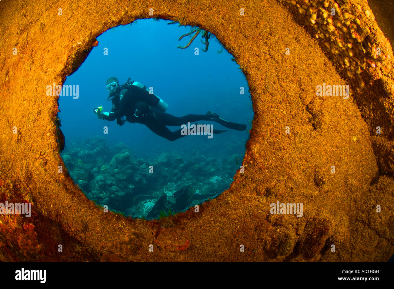 diver in shipwreck in Bermuda, underwater, scuba, diving, sea, ocean ...