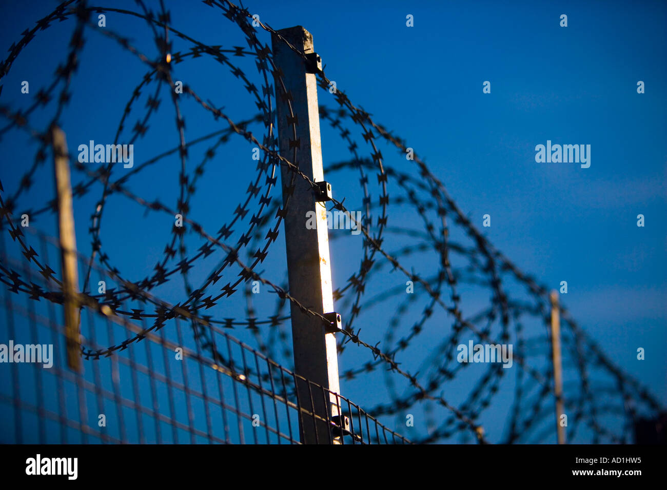 Security fence with razor wire Stock Photo - Alamy