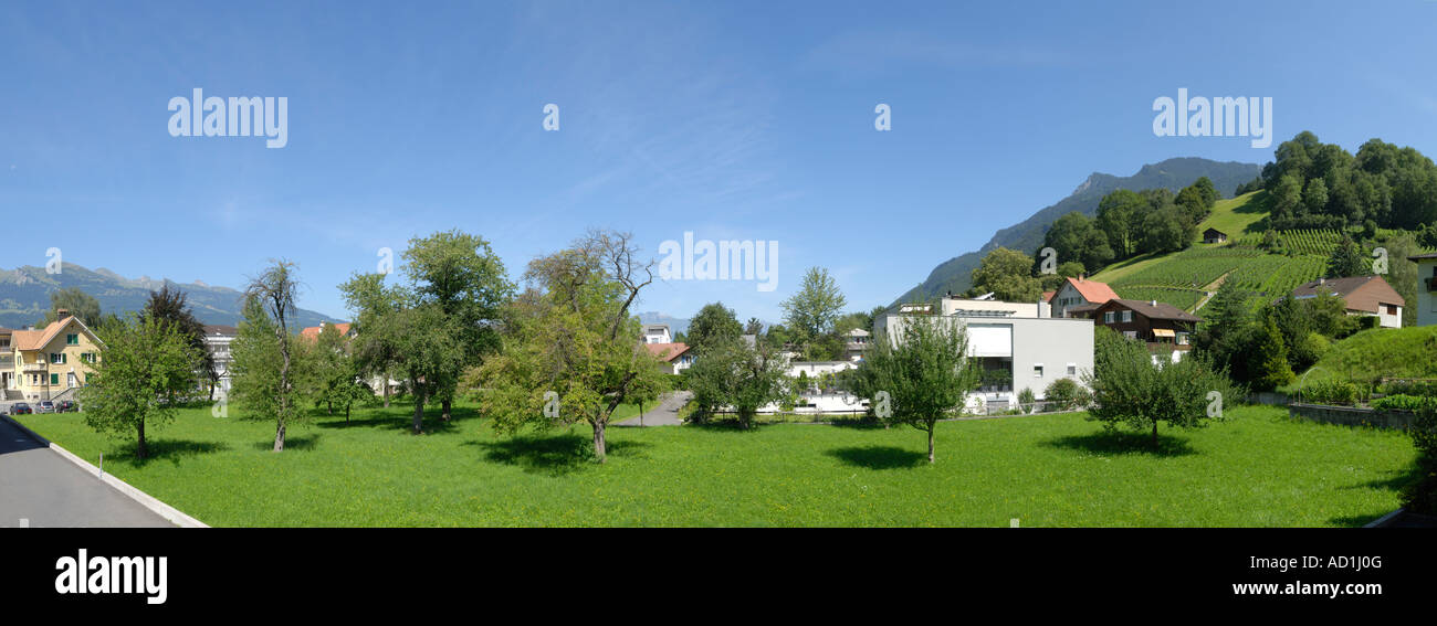 Triesen wine hi-res stock photography and images - Alamy