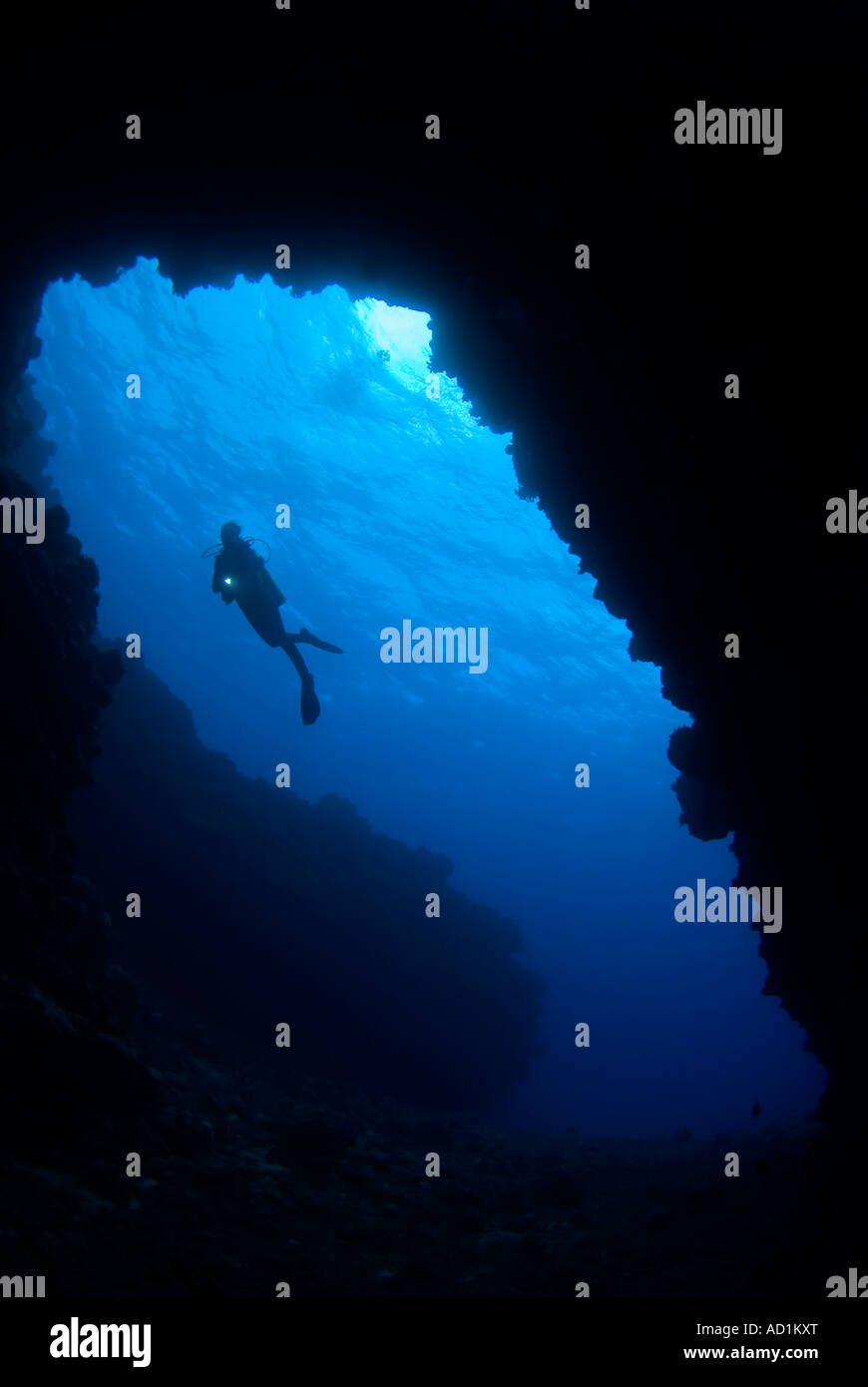 Diver in a cave Lanai, Hawaii, underwater, scuba, diving, ocean, sea ...