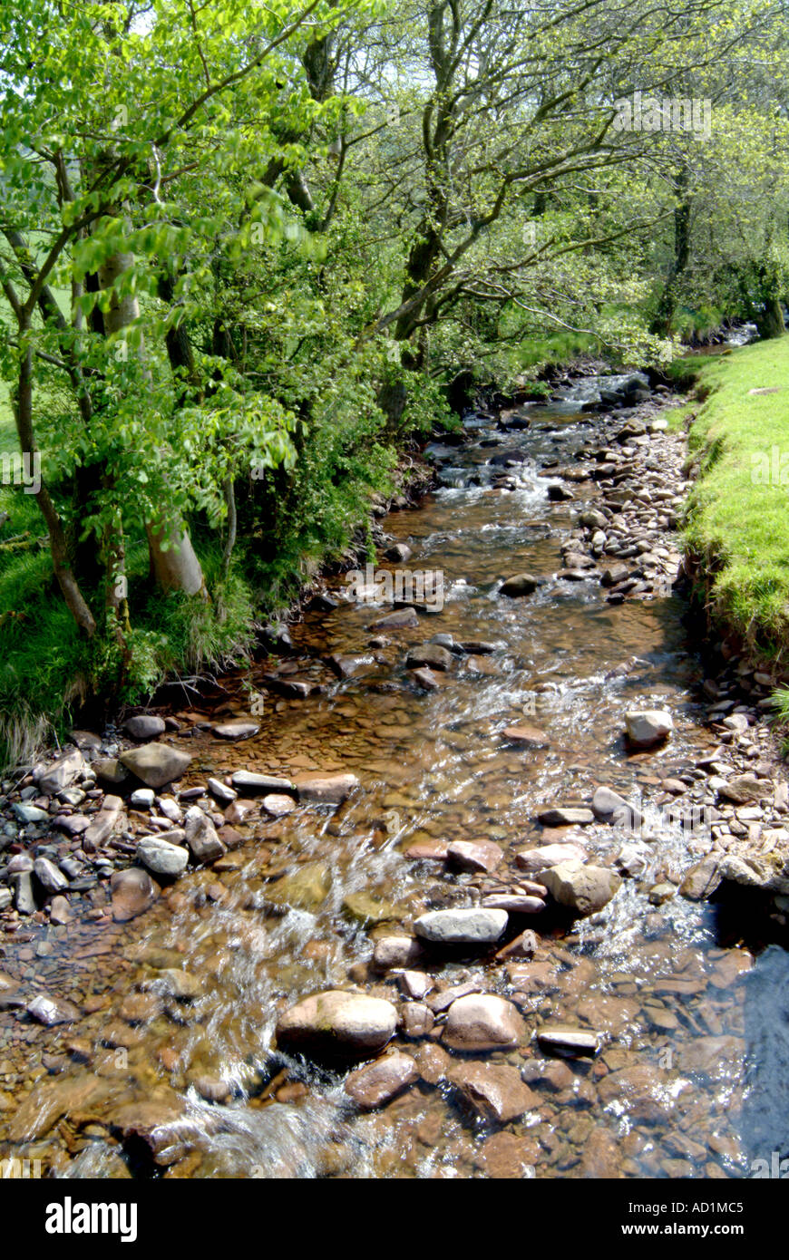 Stream in the Brecon Beacons Wales Stock Photo - Alamy