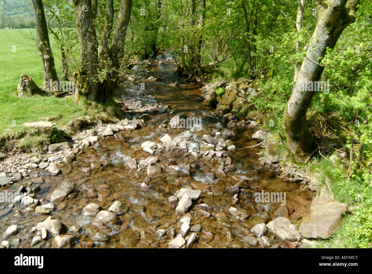 Stream in the Brecon Beacons Wales Stock Photo - Alamy