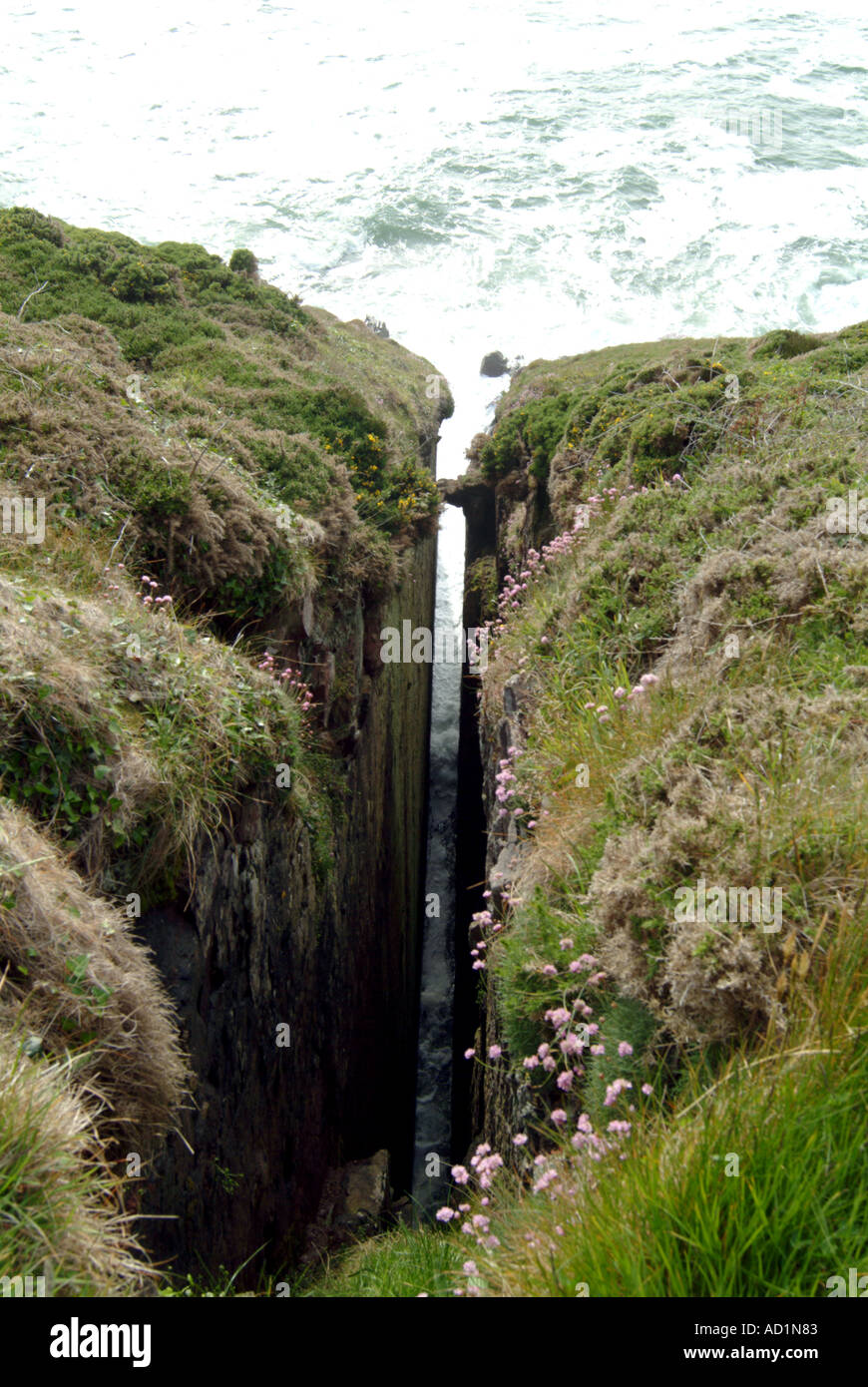 Cliff top view over the Bristol Channel Manobier Wales Stock Photo - Alamy