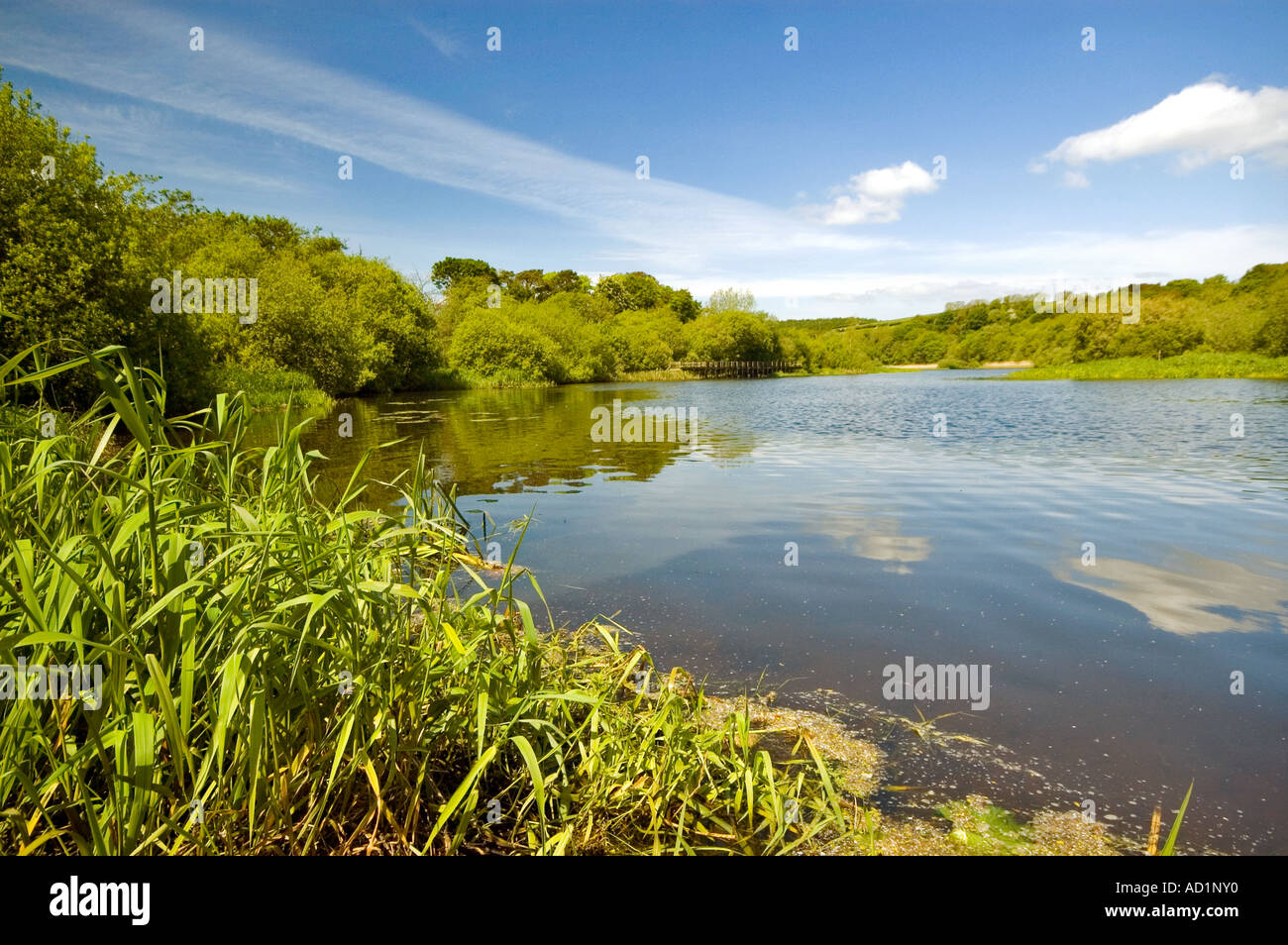 River quoile ireland hi-res stock photography and images - Alamy