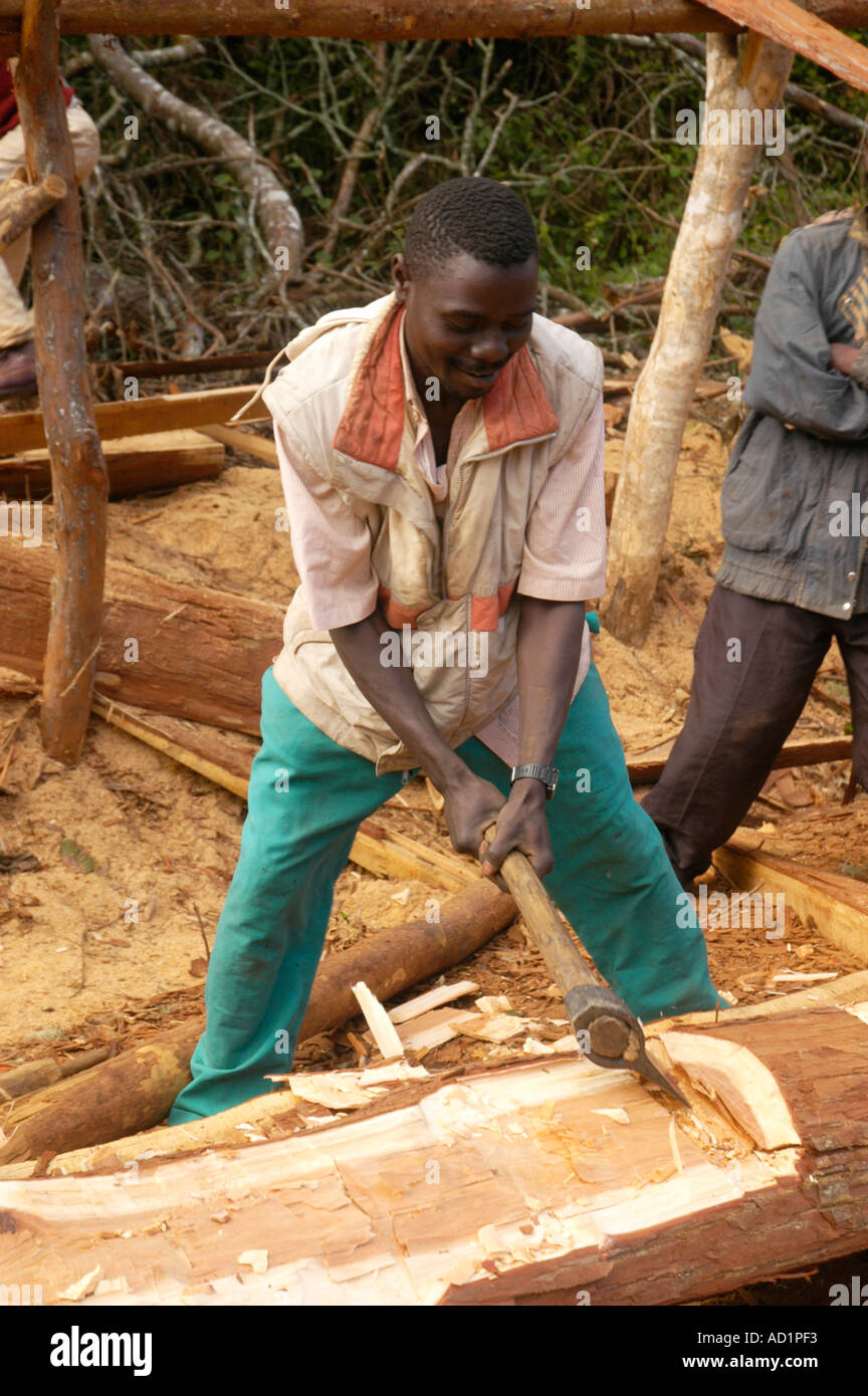 African logging operation hi-res stock photography and images - Alamy