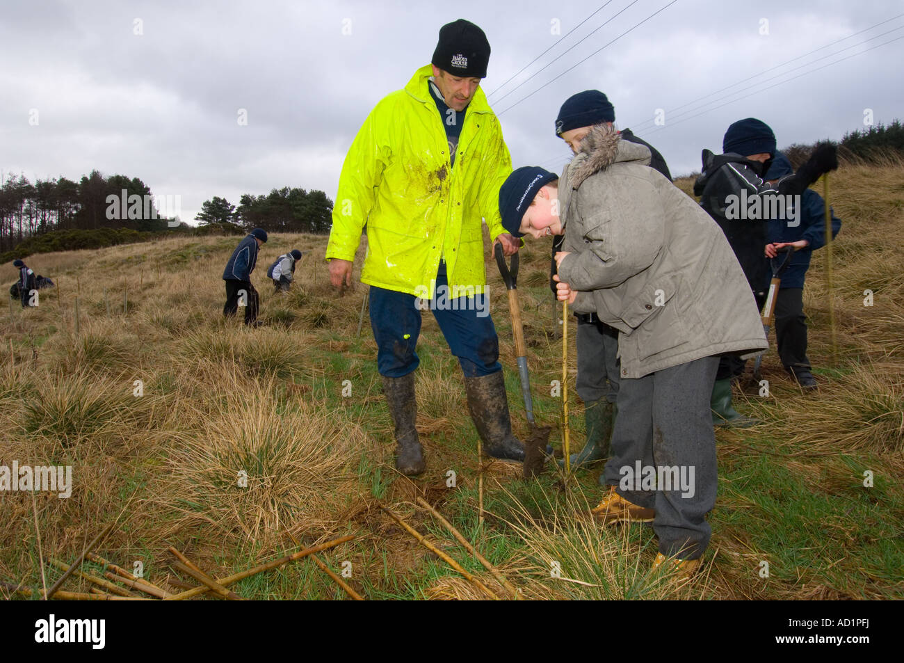 Children planting trees during a Tree for All event at North Wood ...