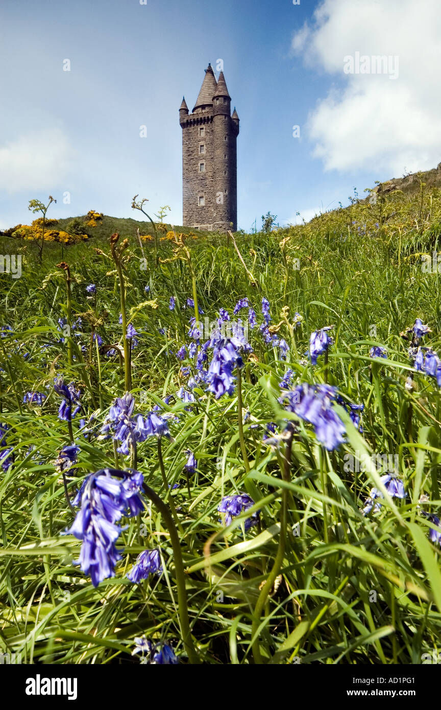 Scrabo hill top hi-res stock photography and images - Alamy