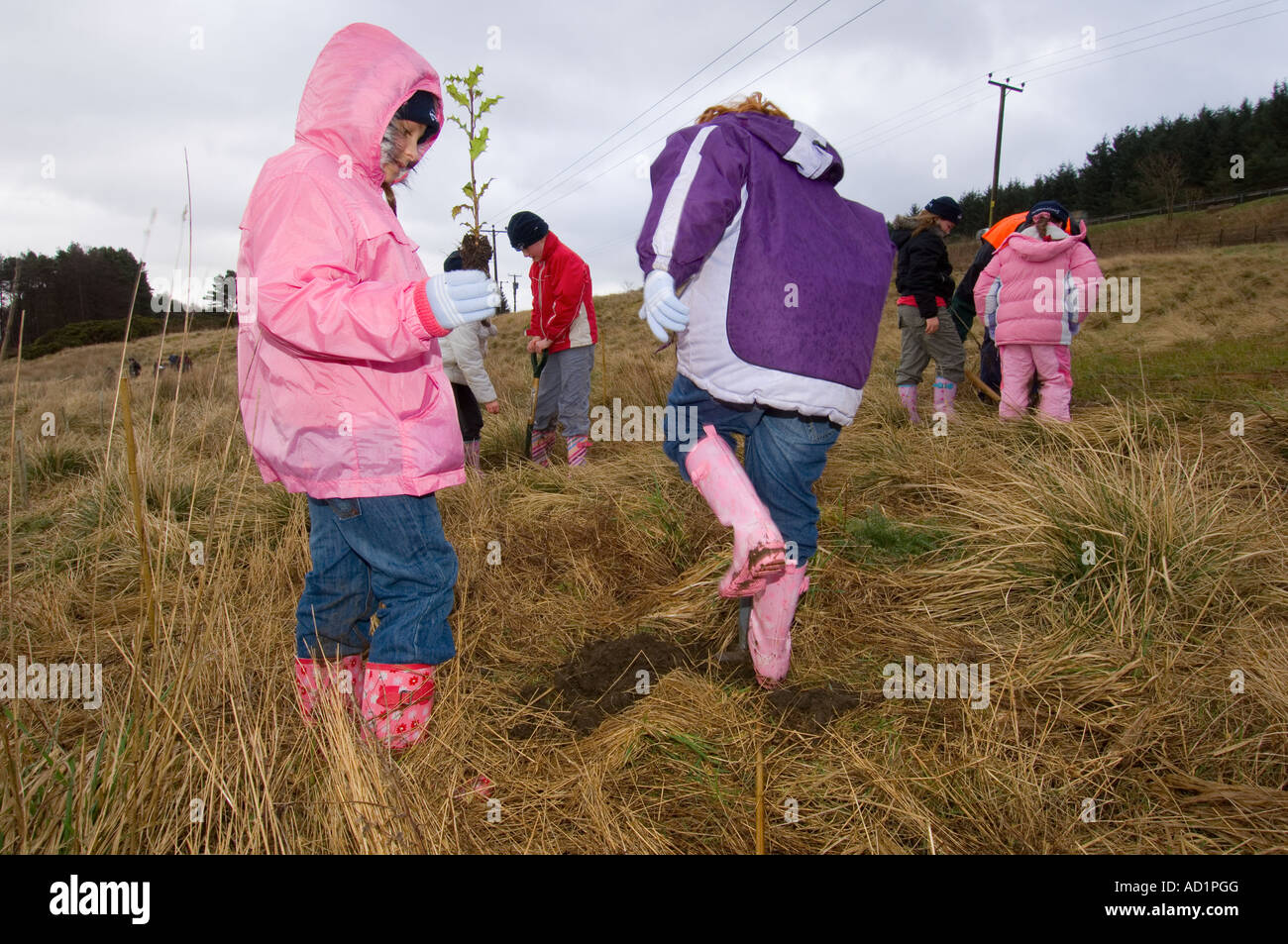 School children planting a tree hi-res stock photography and images - Alamy