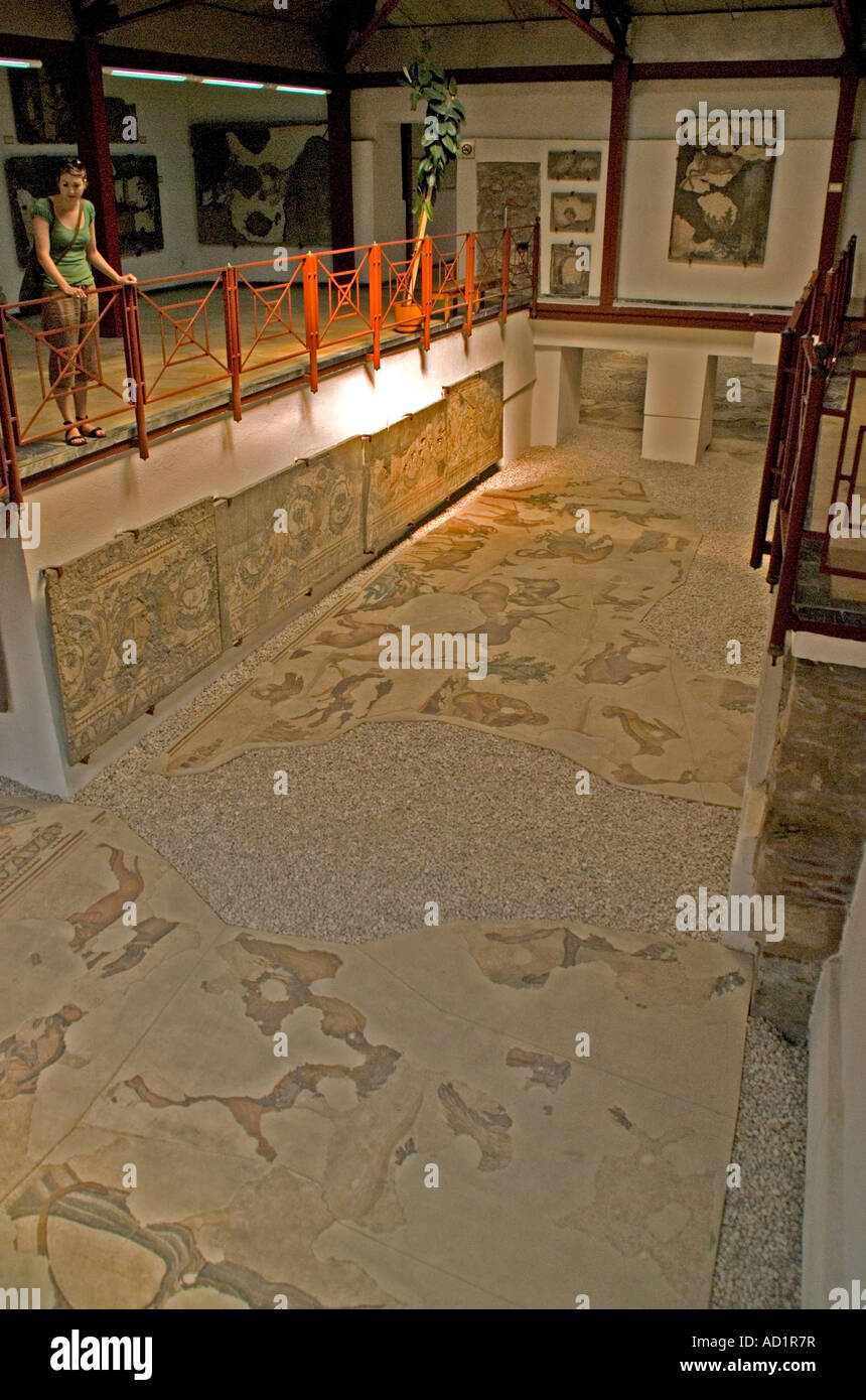 Istanbul Mosaic Museum, in ruins of Great Palace of Byzantium, imperial ...
