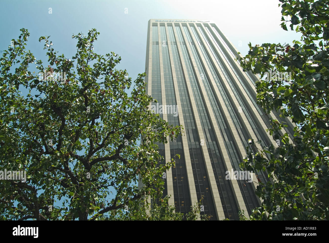 Tall corporate office buildings downtown Los Angeles CA Architectural ...