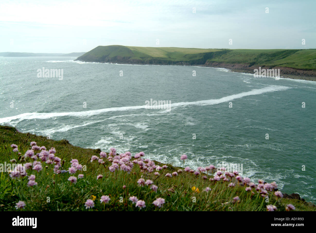 Cliff top view over the Bristol Channel Manobier Wales Stock Photo - Alamy