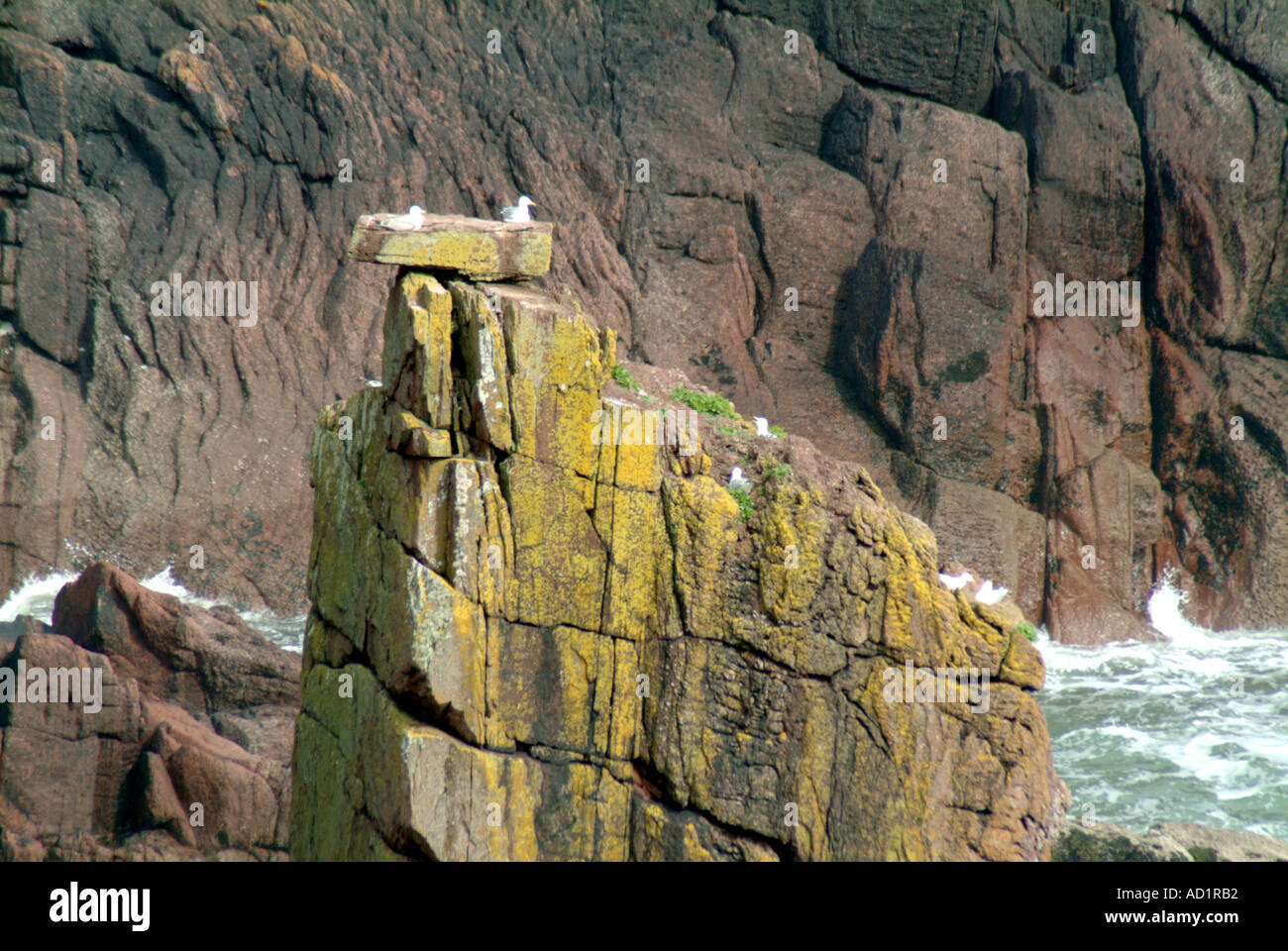 Cliff top view over the Bristol Channel Manobier Wales Stock Photo - Alamy