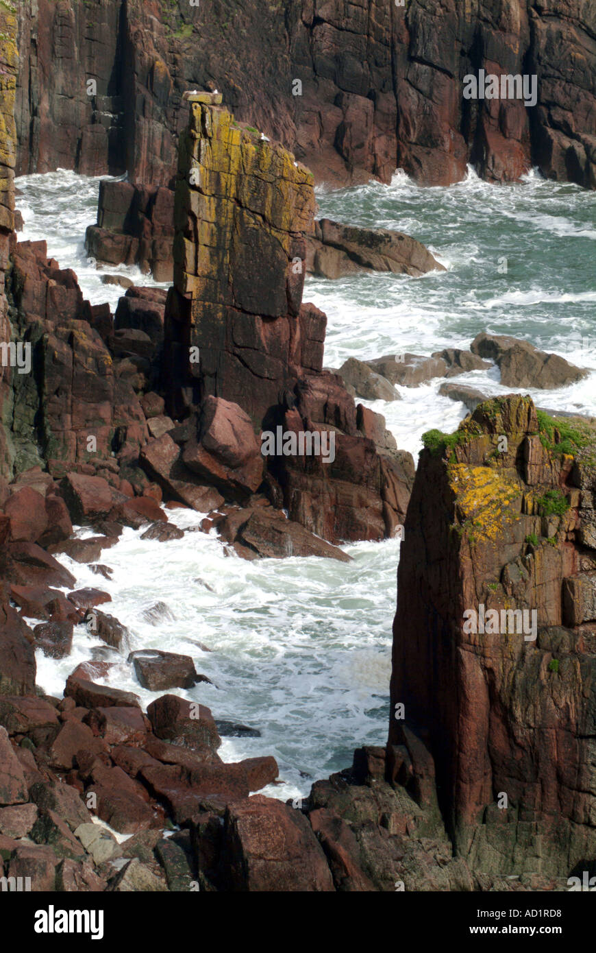 Cliff top view over the Bristol Channel Manobier Wales Stock Photo - Alamy