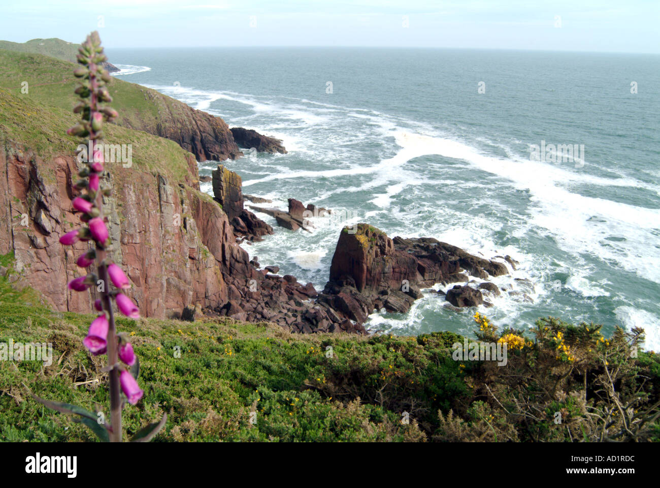 Cliff top view over the Bristol Channel Manobier Wales Stock Photo - Alamy