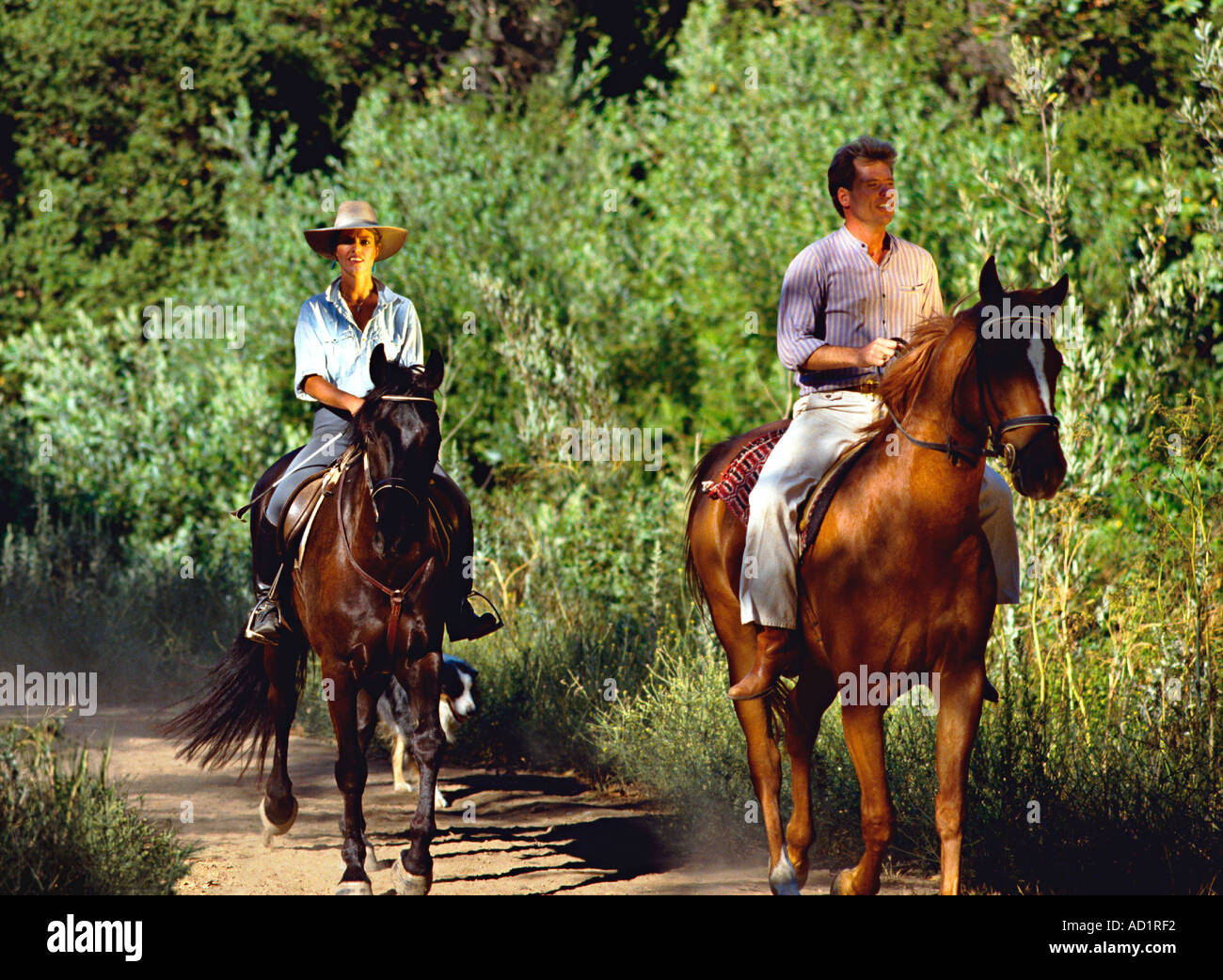 Couple on horseback riding trees trail pathway path Decker Canyon ...