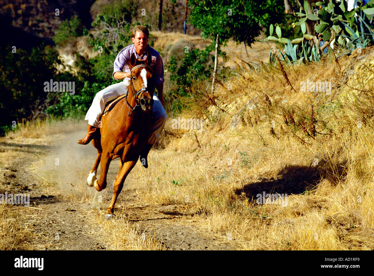 Man on horseback riding a horse racing on dirt road bareback trees ...