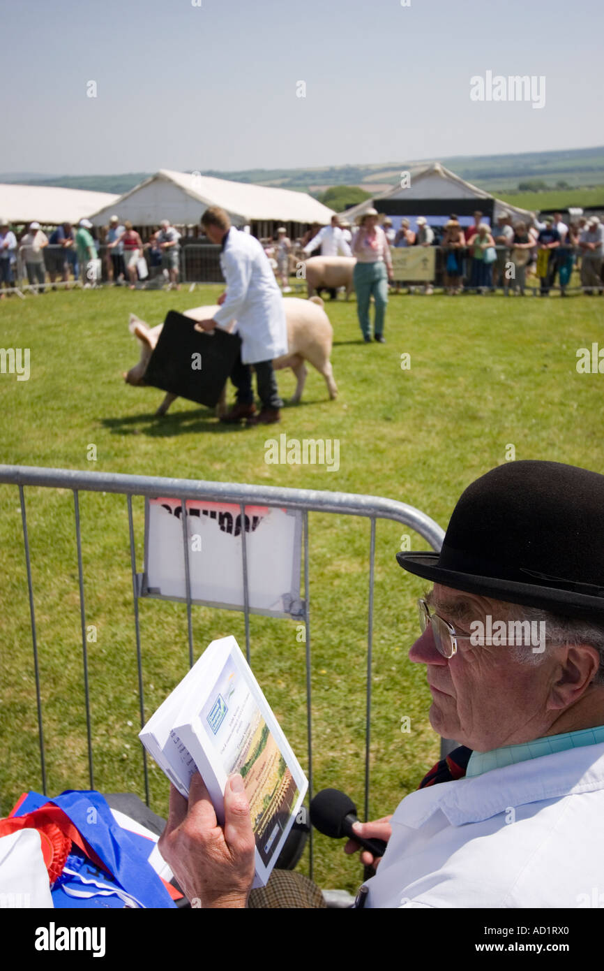Pig competition at the Royal Cornwall Show Stock Photo - Alamy