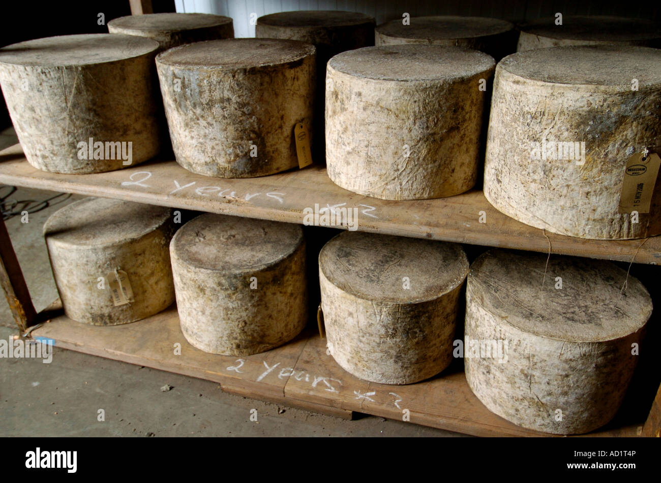 Cheese maturing on a shelf Stock Photo - Alamy